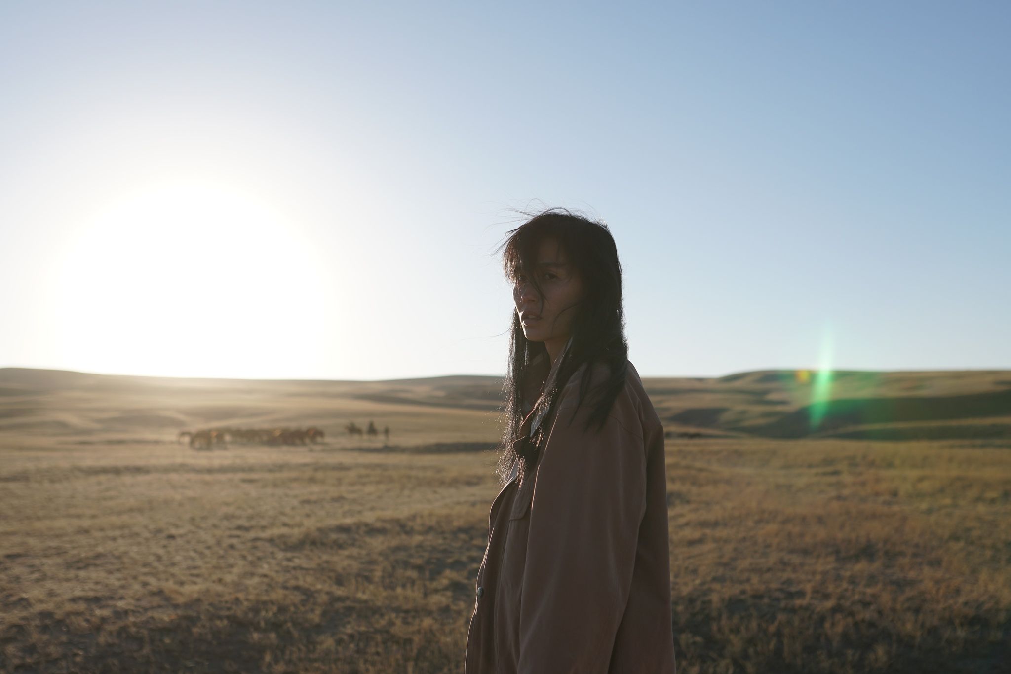 Lastochka - film pronti - film & docu - Filmitalia